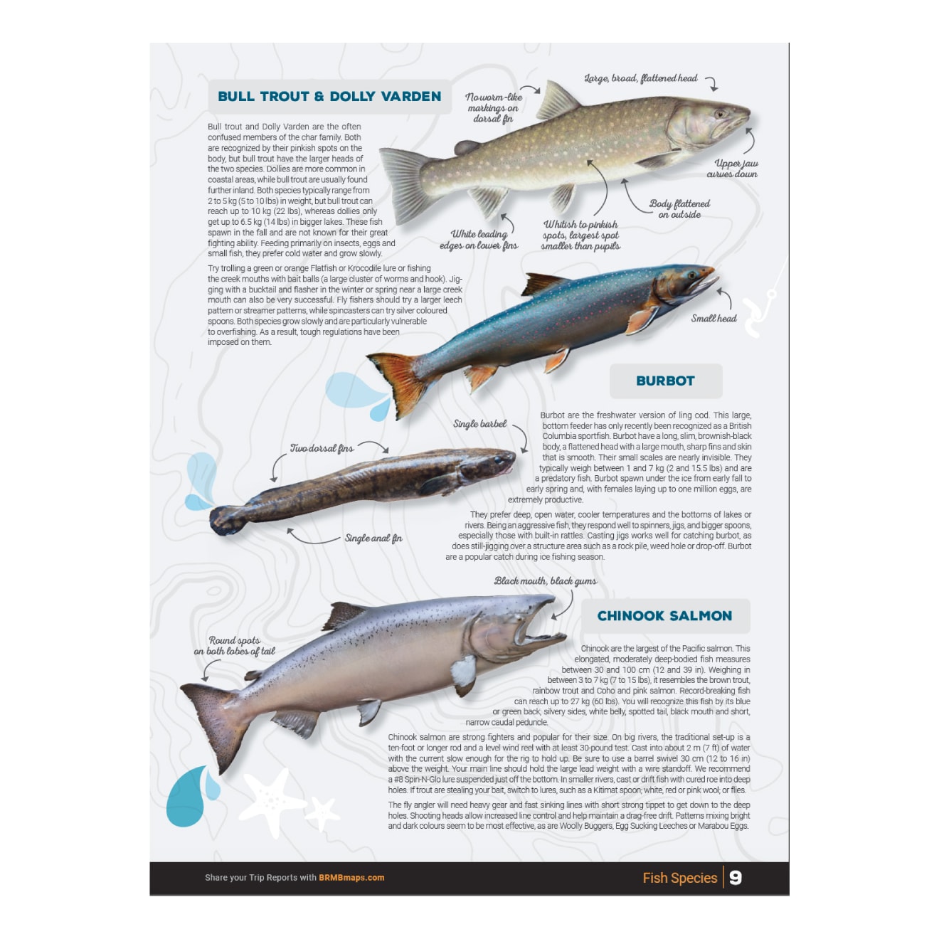 Backroad Mapbook - Thompson Okanagan BC Fishing Mapbook | Cabela's Canada