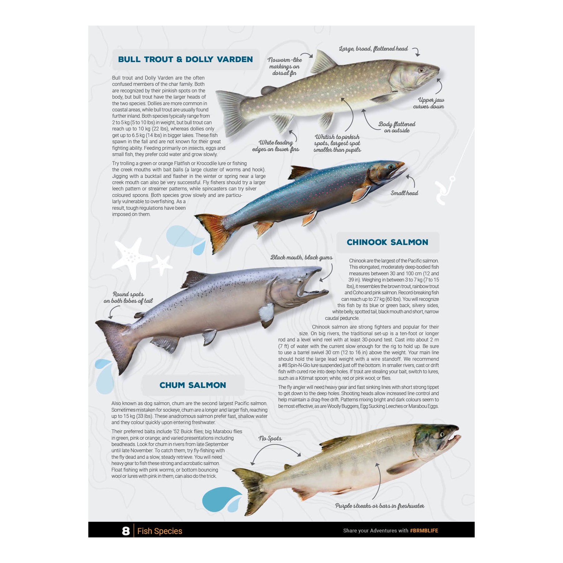 Backroad Mapbook - Lower Mainland BC Fishing Mapbook | Cabela's Canada