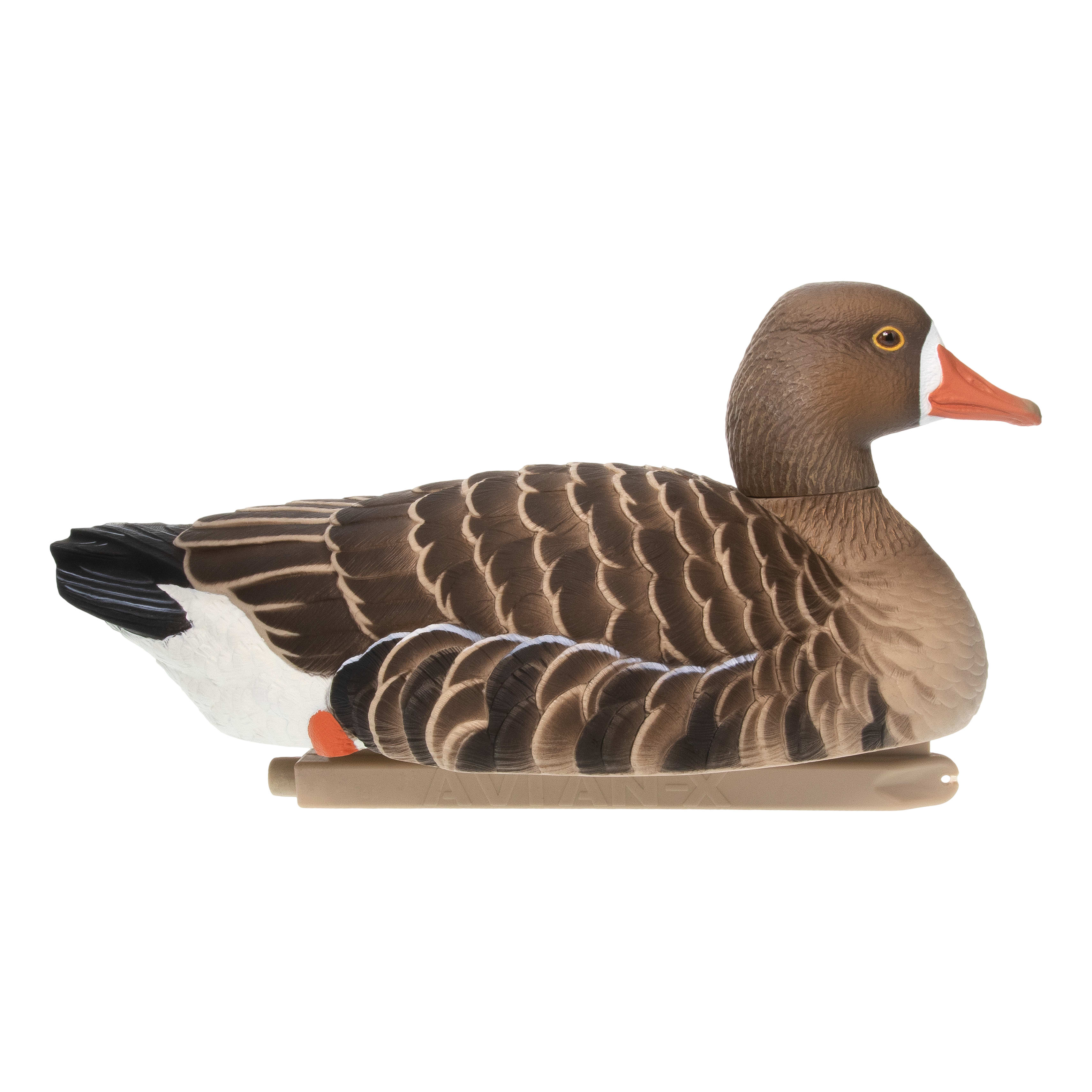 Avian-X® Topflight Specklebelly Floating Goose Decoy | Cabela's Canada