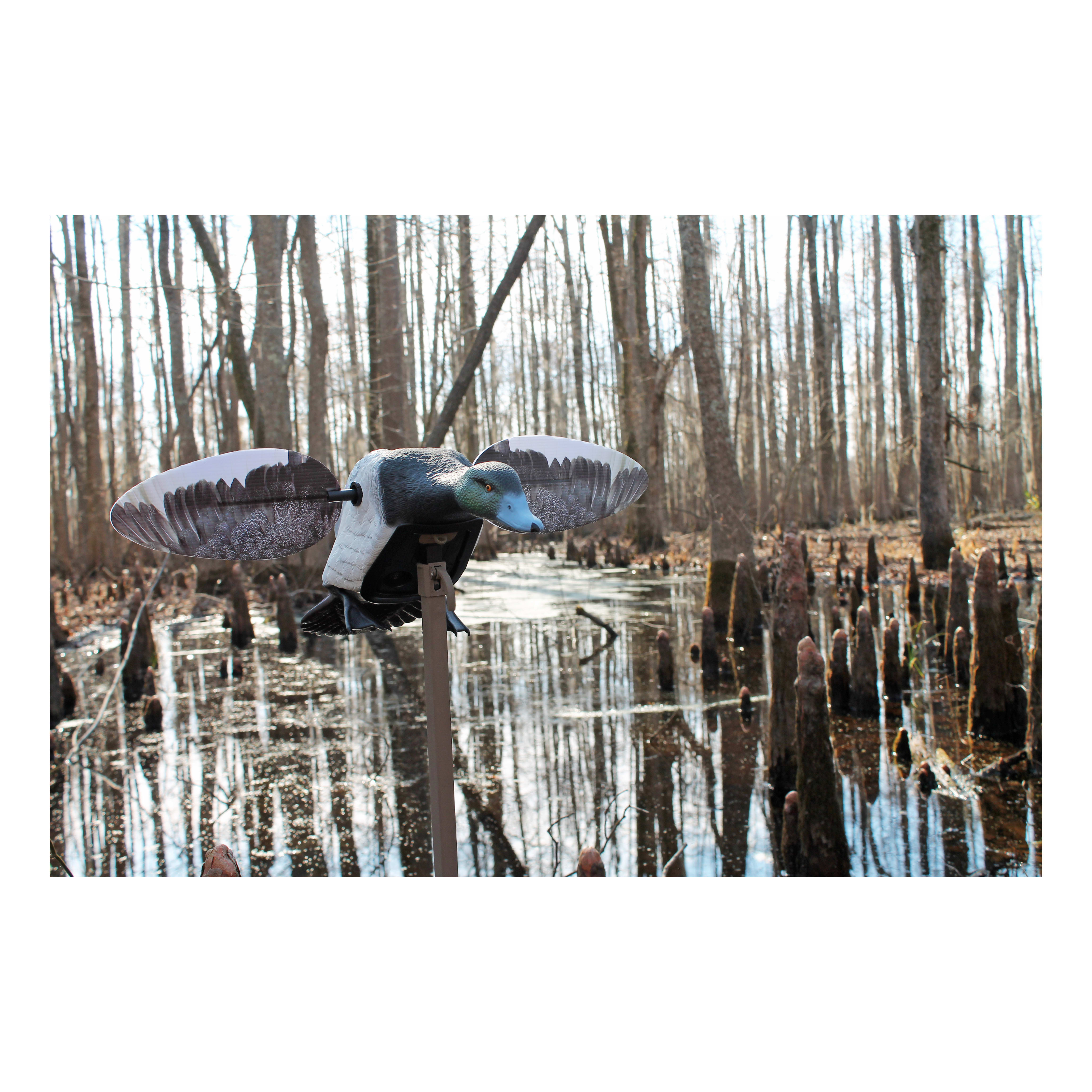 MOJO® Outdoors Elite Series™ Diver Bluebill Motorized Duck Decoy ...
