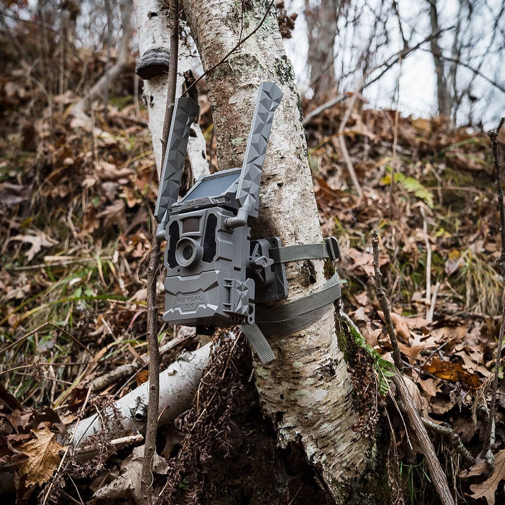 Tactacam™ Reveal Tree Mount | Cabela's Canada