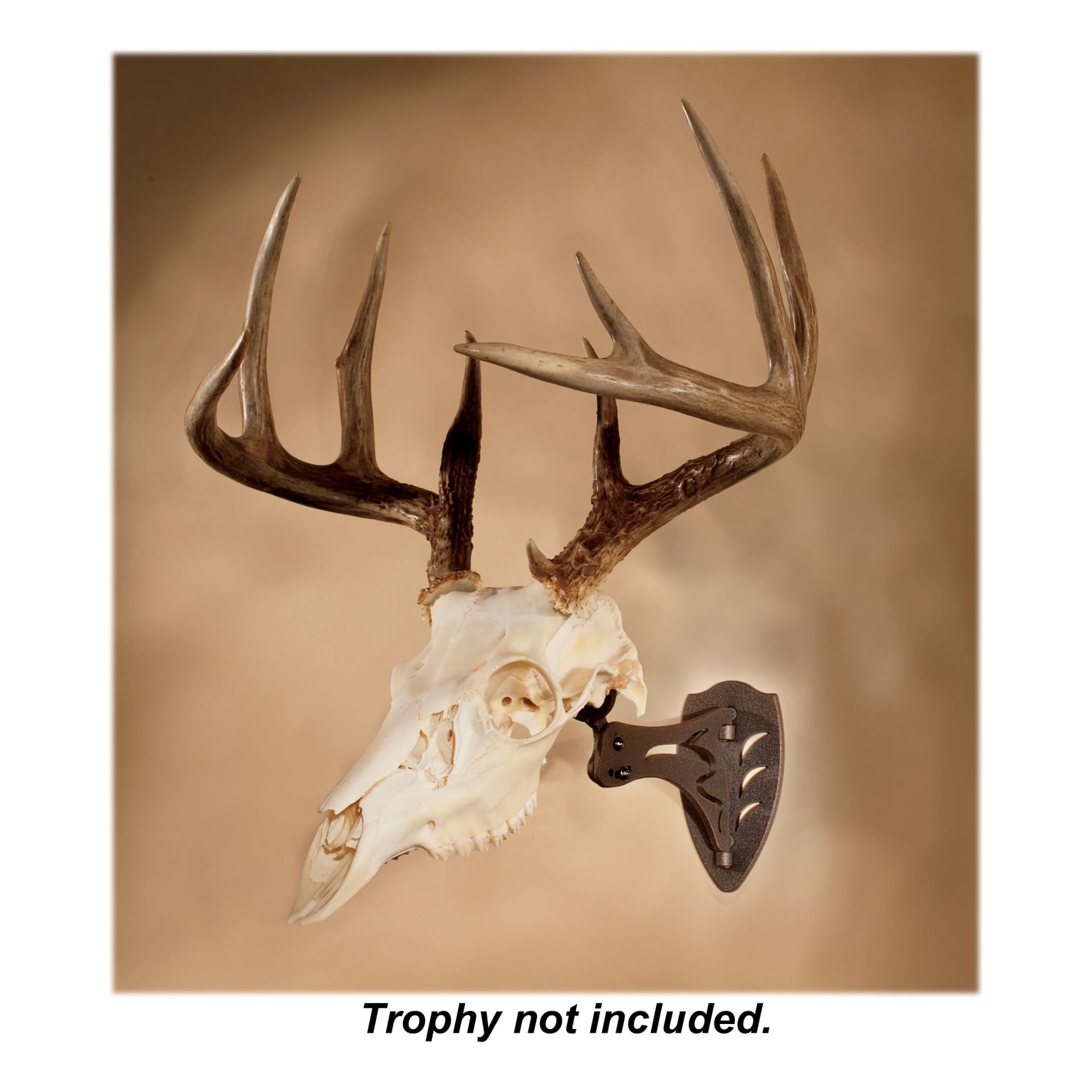 Skull Hooker® European Trophy Mounting Systems - Little Hooker - Brown ...