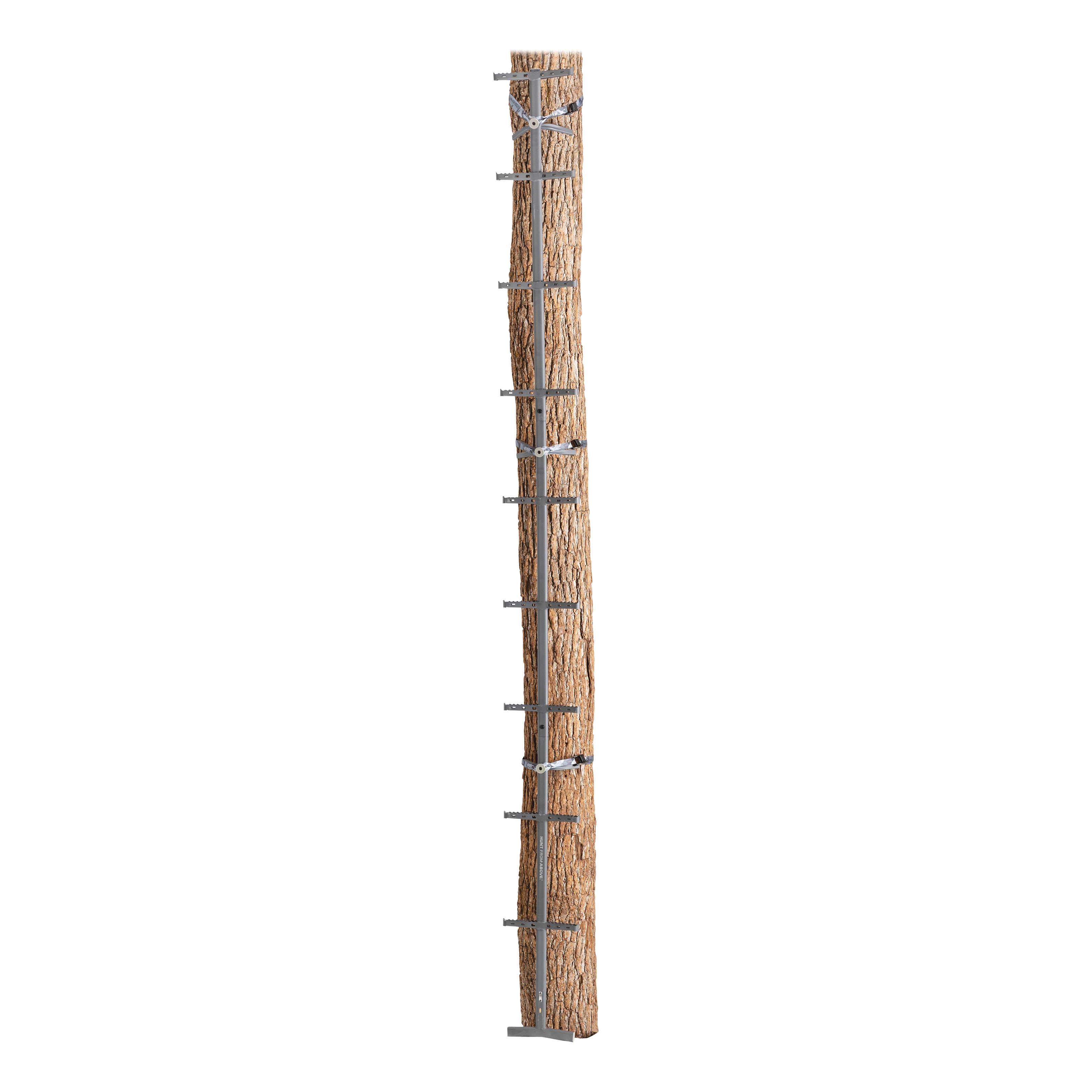 Hawk® Traction Climbing Stick Ladder | Cabela's Canada