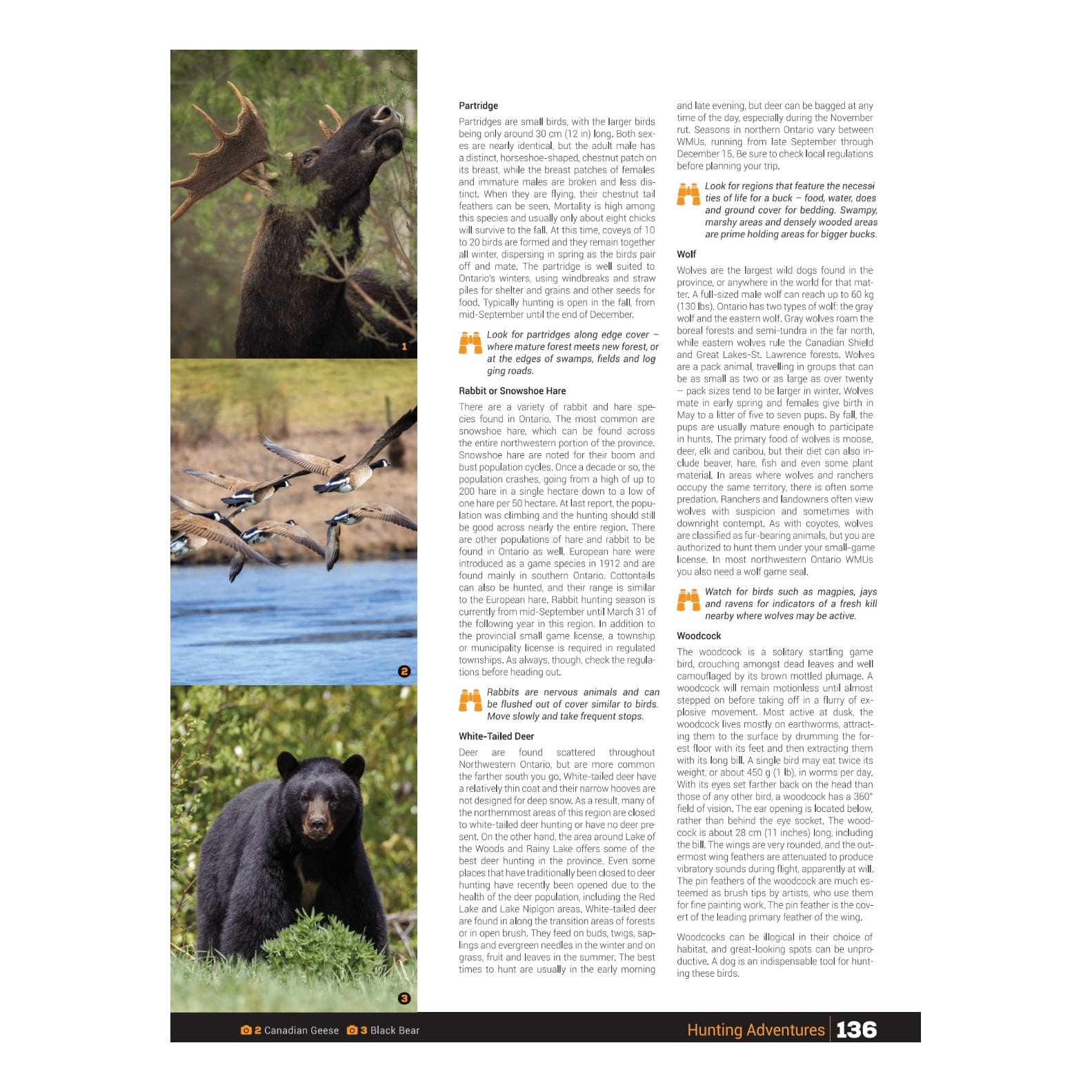 Backroad Mapbook Northwestern Ontario 5th Edition | Cabela's Canada