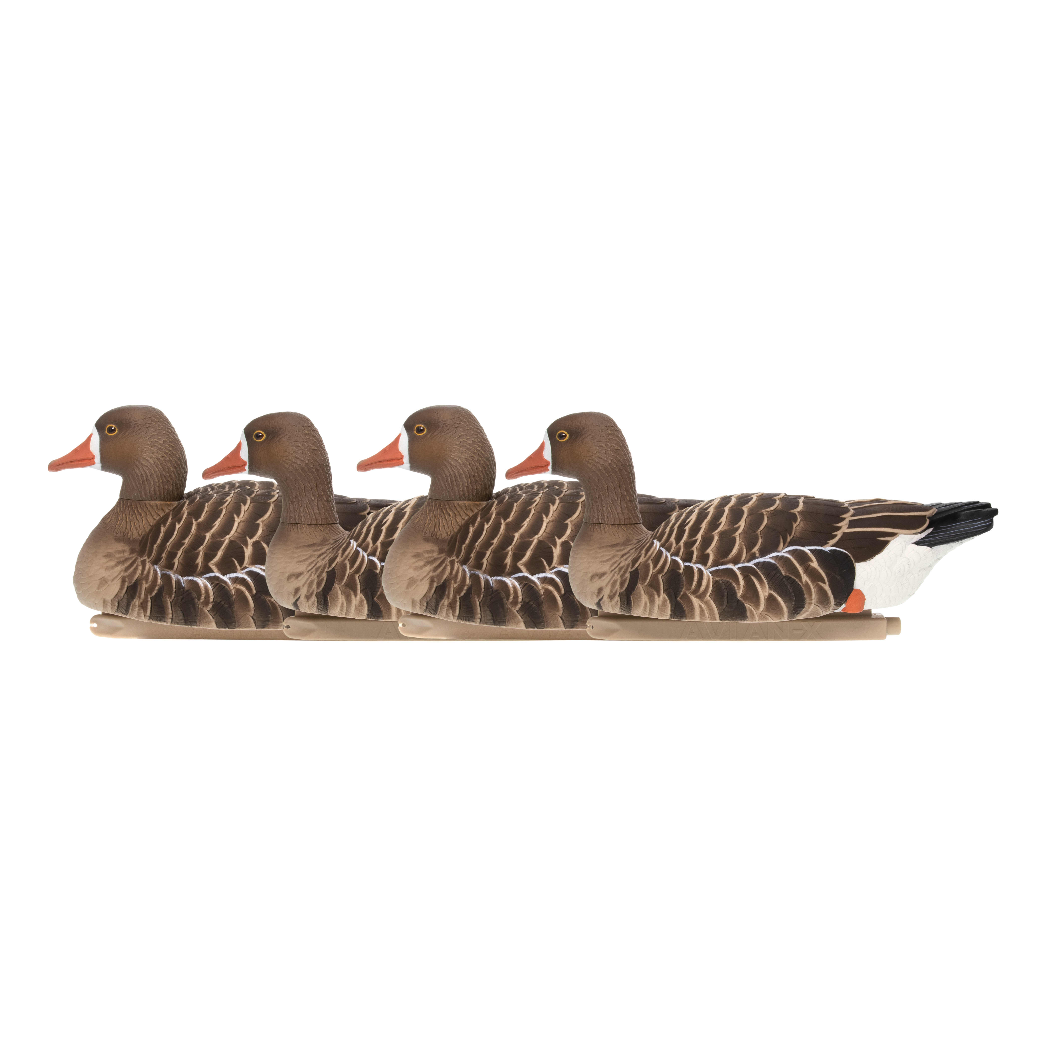 Avian-X® Topflight Specklebelly Floating Goose Decoy | Cabela's Canada