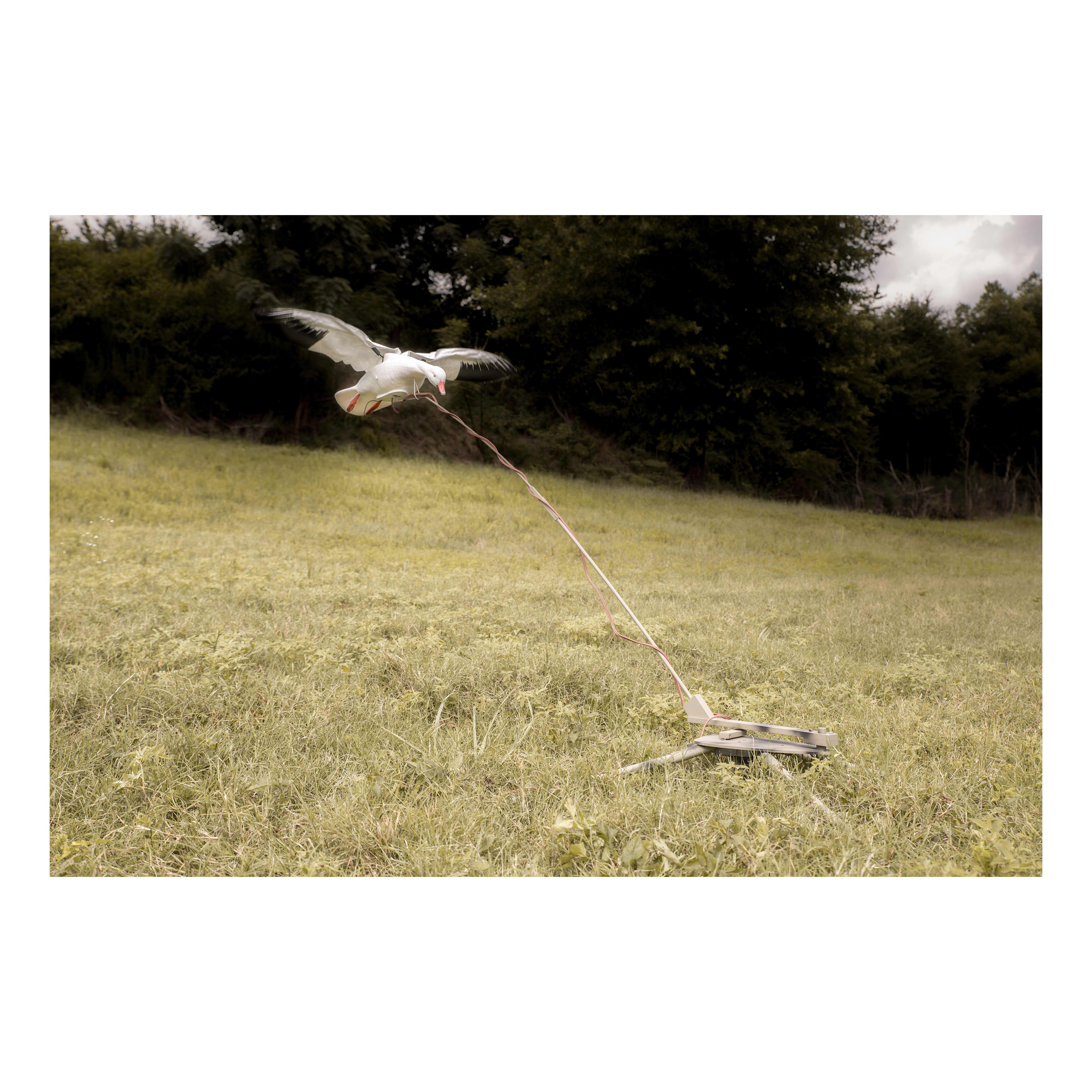 Higdon Clone Persuader Motorized Decoy Stand | Cabela's Canada