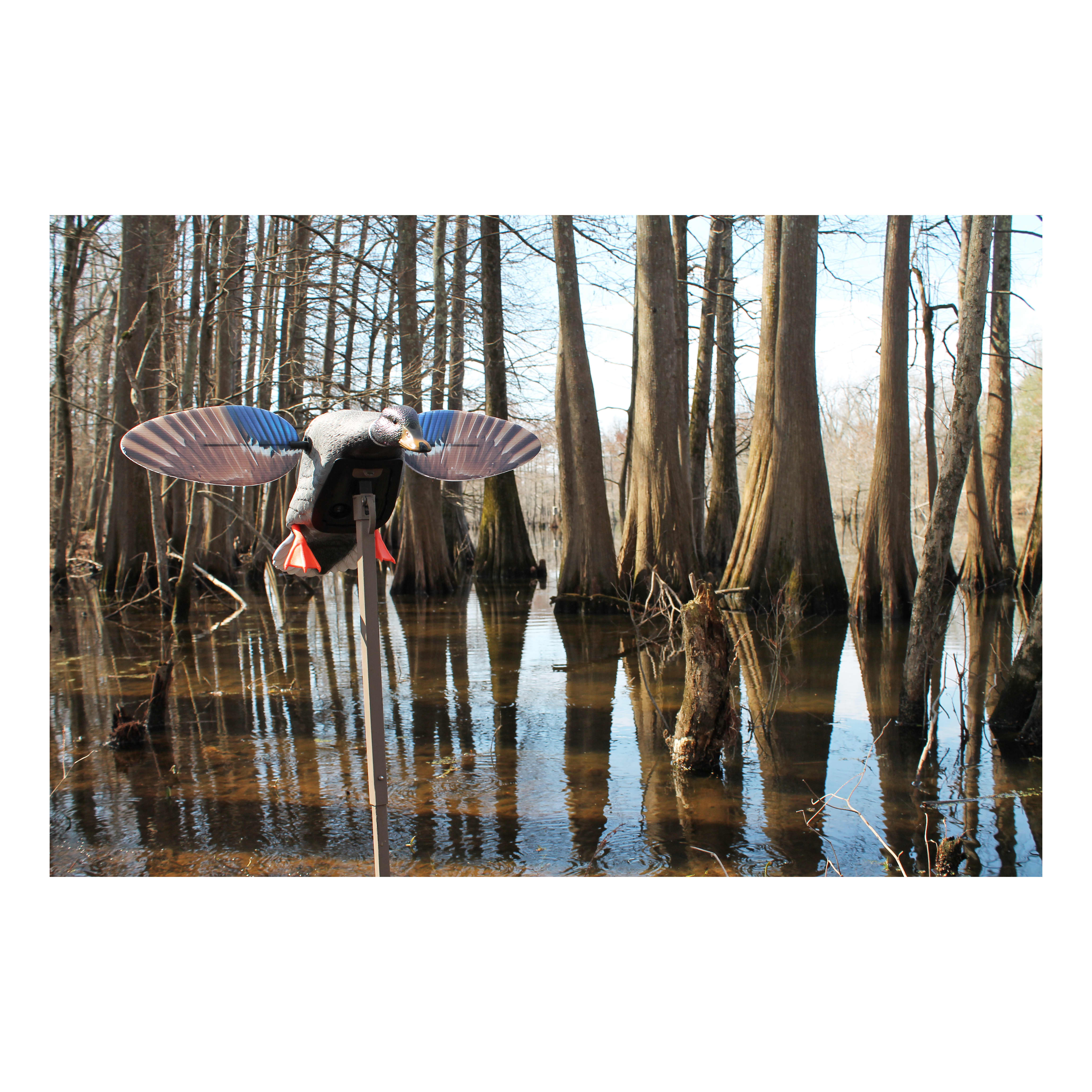 MOJO® Outdoors Elite Series™ Mini Mallard Drake Motorized Duck Decoy ...