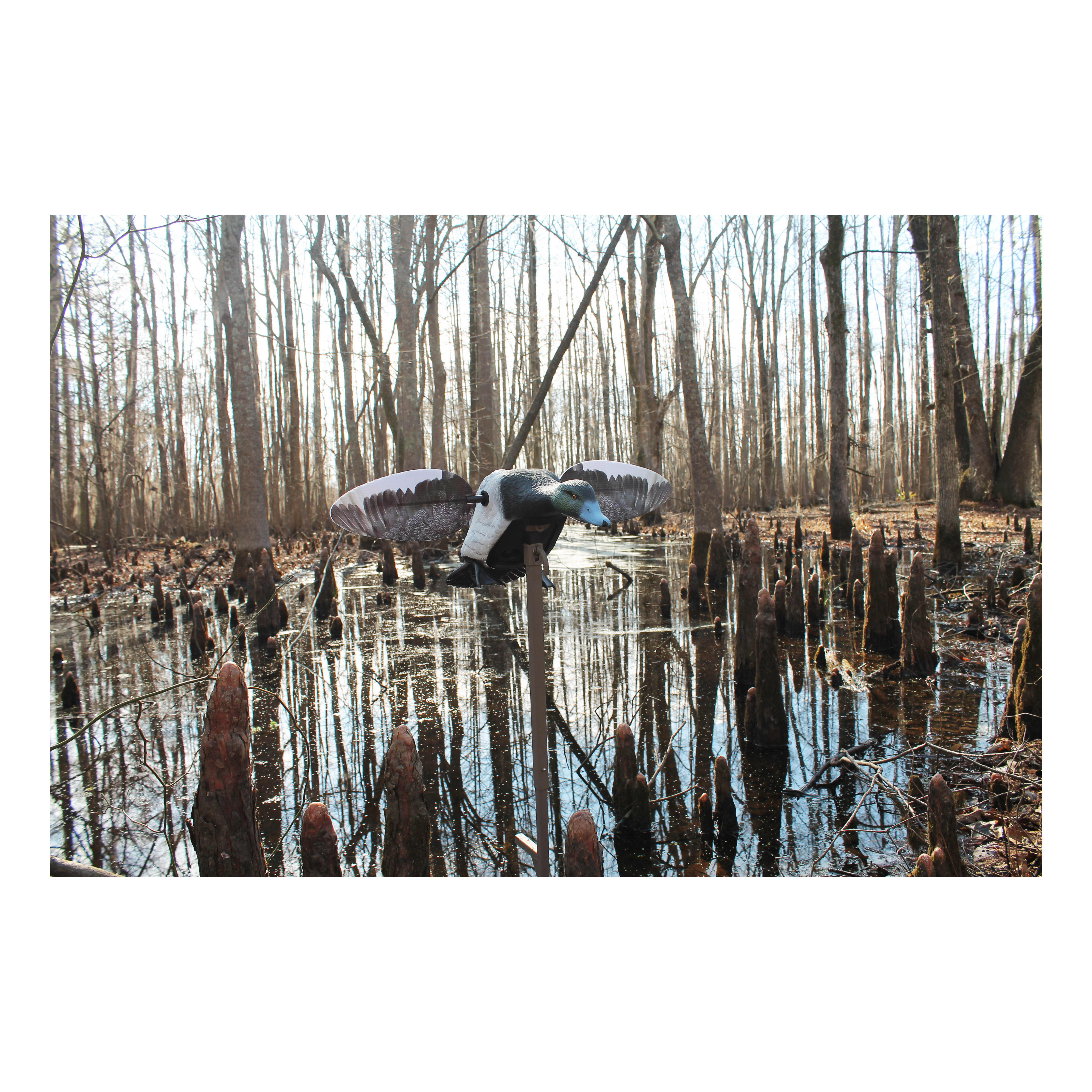 MOJO® Outdoors Elite Series™ Diver Bluebill Motorized Duck Decoy ...