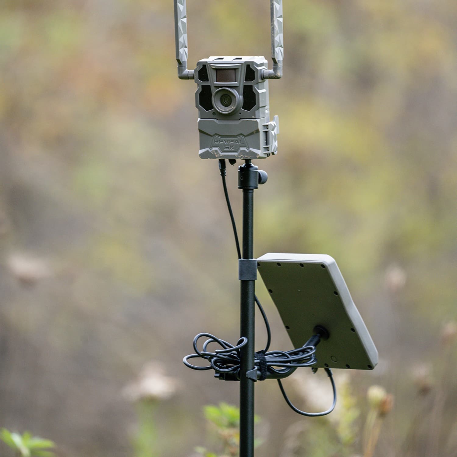 Tactacam® REVEAL Adjustable Camera Stake | Cabela's Canada