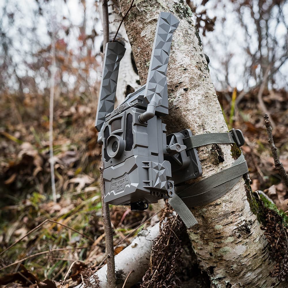 Tactacam™ Reveal Tree Mount | Cabela's Canada