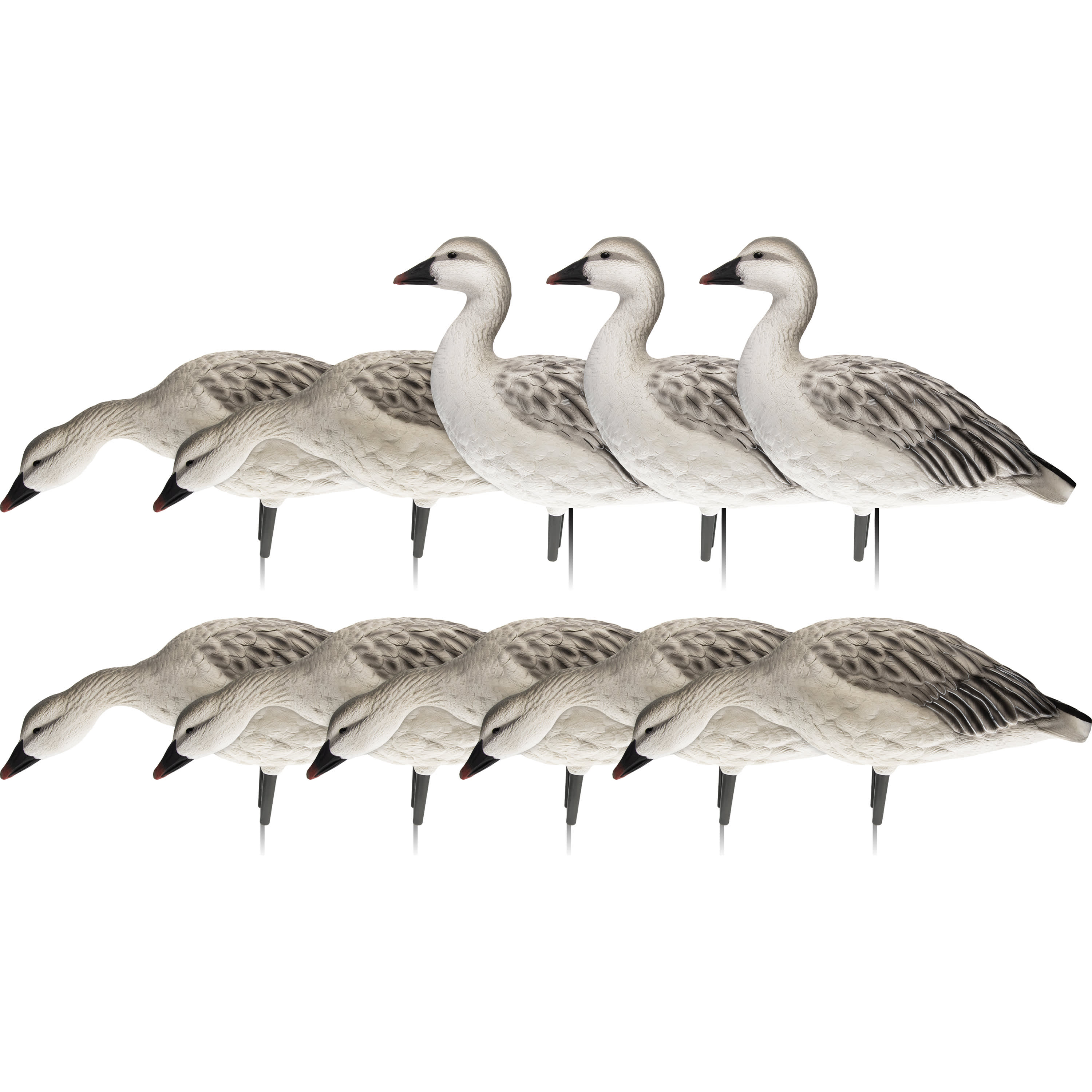 Avian-X AXP Snow Goose Decoys Juvie 10-Pack | Cabela's Canada