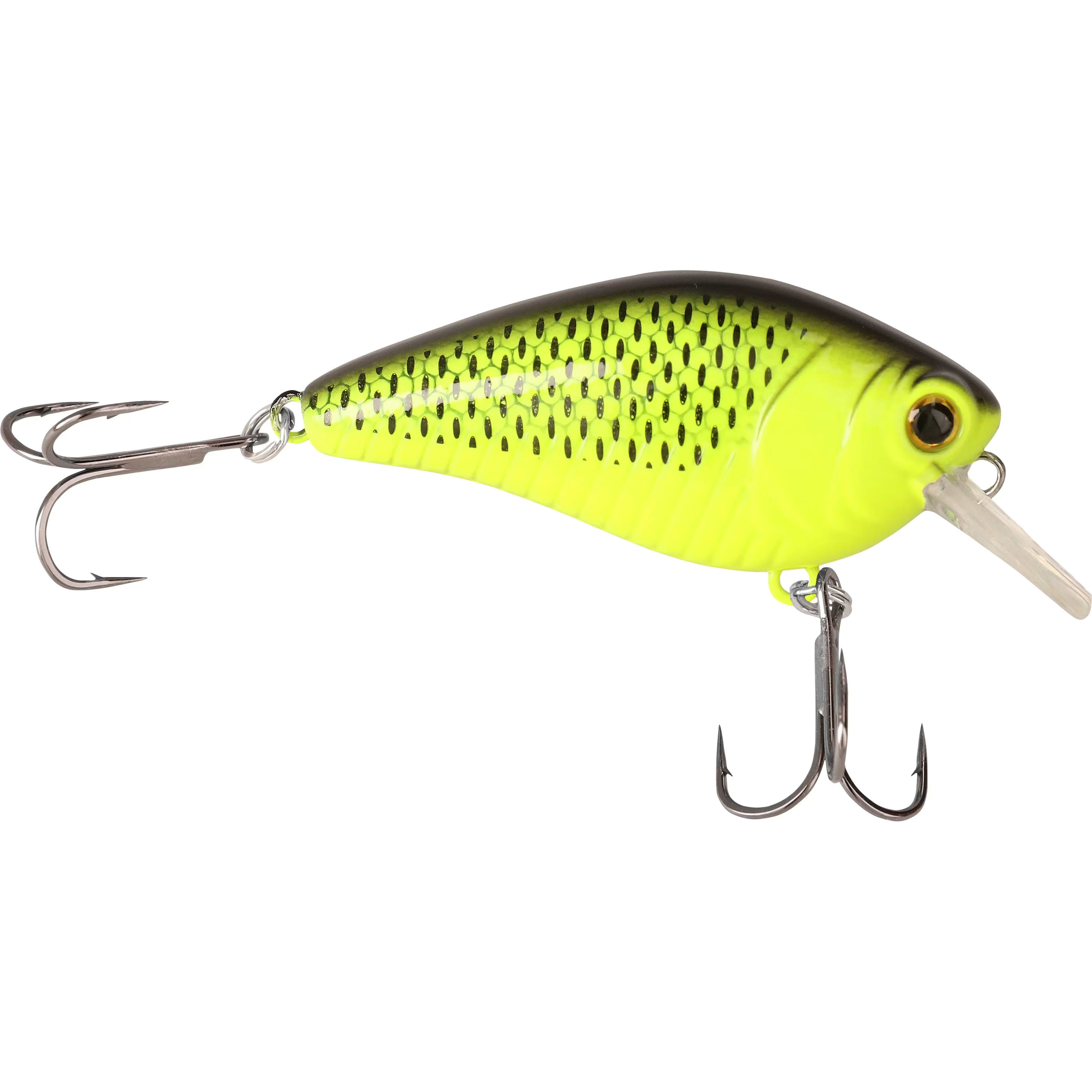 Bass Pro Shops® XPS Square-Bill Crankbait | Cabela's Canada