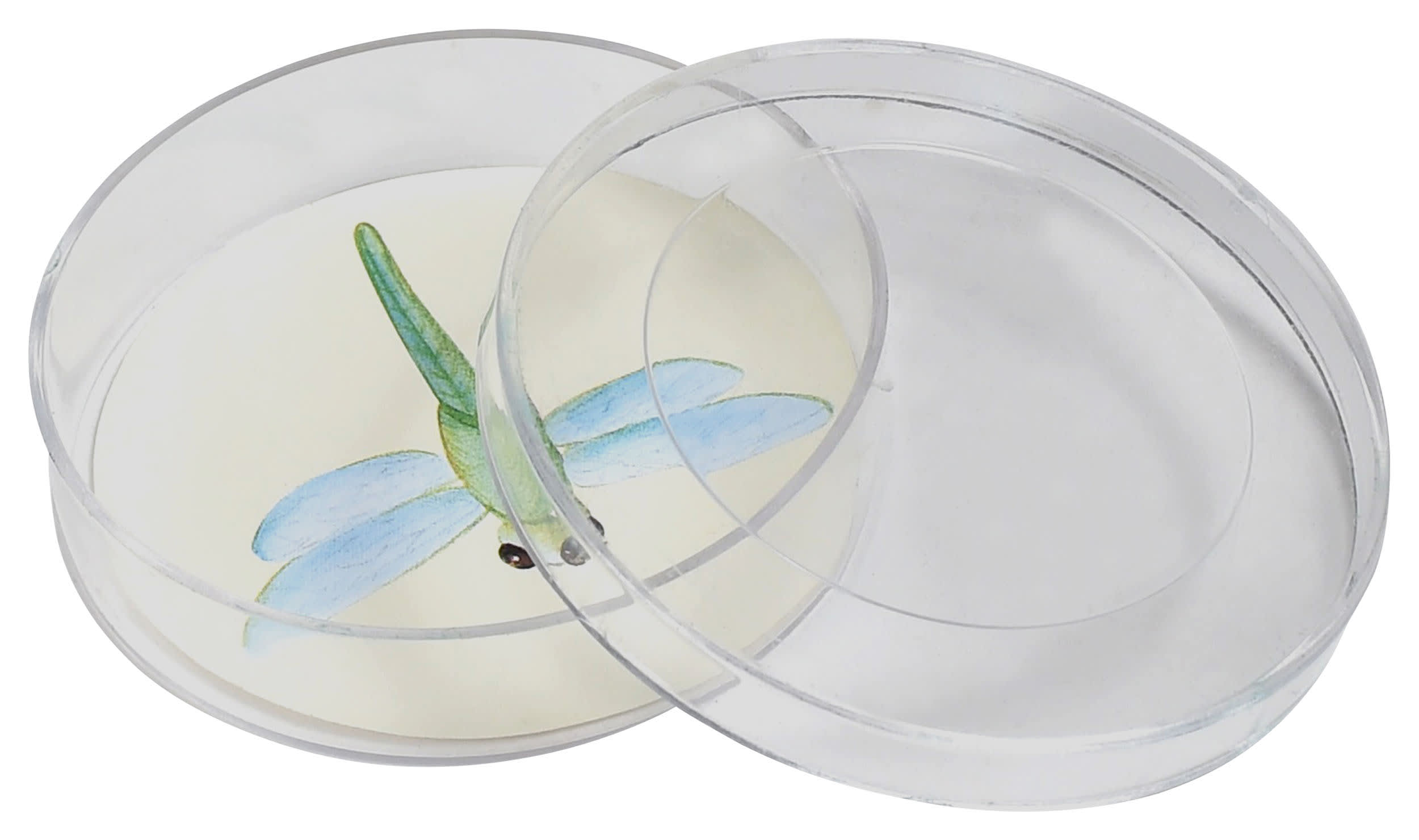 Nature Bound® Bug Bucket Habitat Play Set | Cabela's Canada