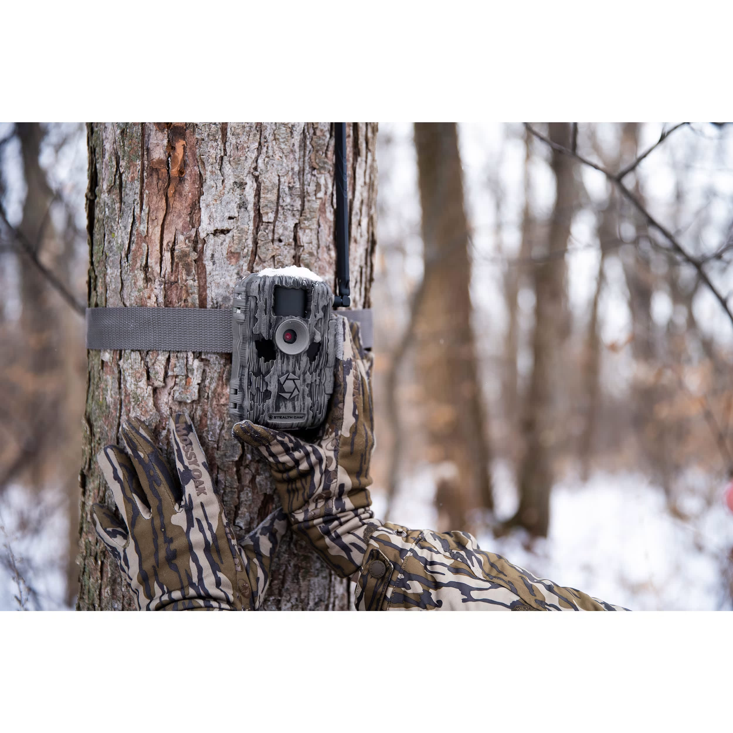 Stealth Cam® Fusion Pro Max Cellular Trail Camera | Cabela's Canada