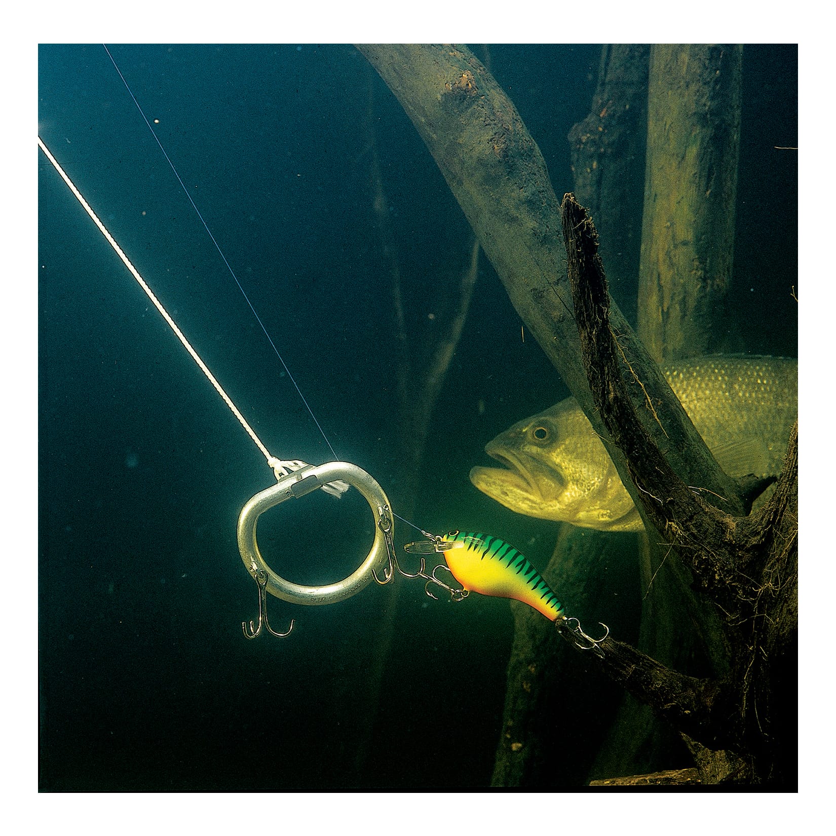 Cabela’s® Snagmaster | Cabela's Canada